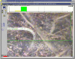 RHIZO Tron, image analysis system to analyze minirhizotron images or ...