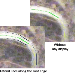 RHIZO Tron, image analysis system to analyze minirhizotron images or ...
